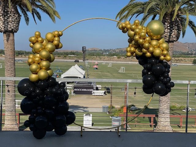 Balloon Backdrops | Custom Drape Backdrops | Wedding Arches